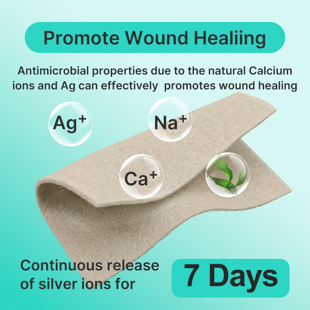 Choosing the Right Dressing for Pressure Ulcers – Dimora Medical